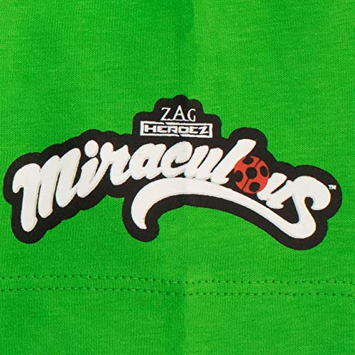 Miraculous Boys' Cat Noir T-Shirt Green Size 5
