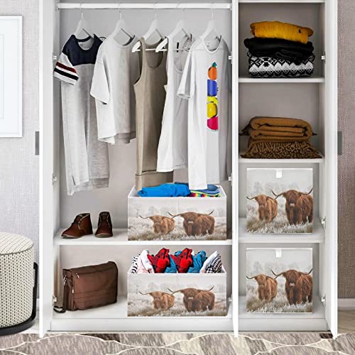 Highland Cow Storage Baskets for Shelves Foldable Collapsible Storage Box Bins with Waterproof Fabric Closet Organizers for Pantry Clothes Storage Toys, Books, Home, Office,16 x 11inch