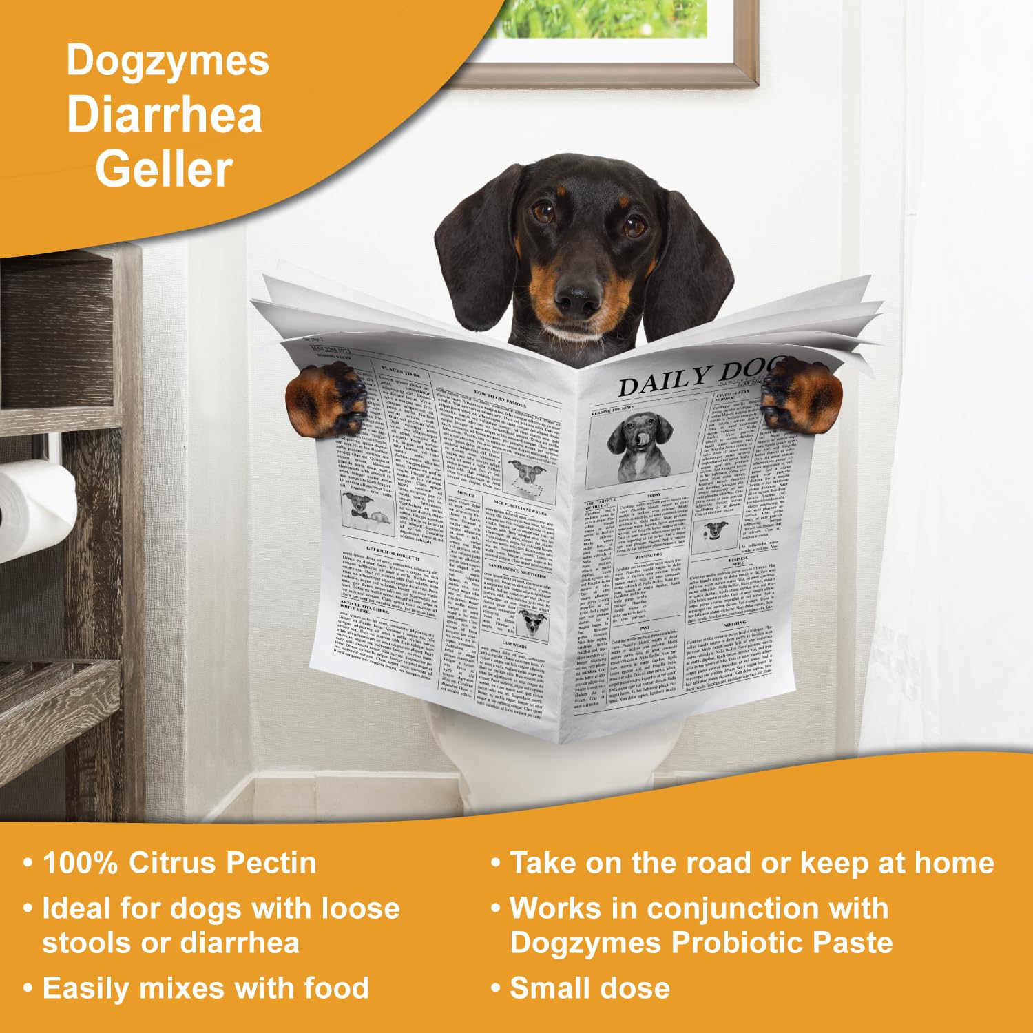 Dogzymes Diarrhea Geller (3 Ounce)