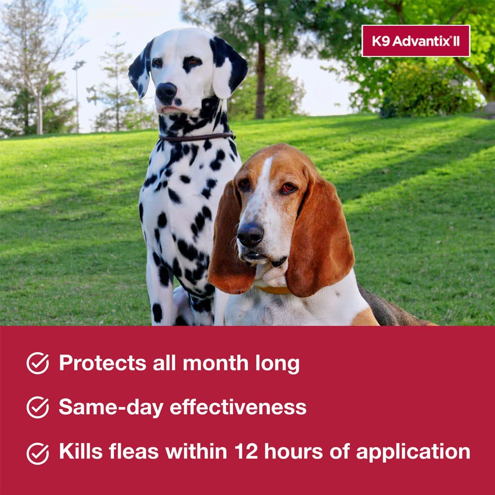 Bayer K9 Advantix II for Dogs 4-10 lbs, 2 Month Supply
