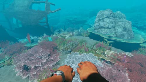 Stranded Deep (Nintendo Switch)