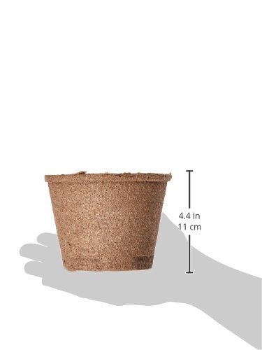 PLANTATION PRODUCTS Jp508 Round Peat Pot, 5-Inch, 6-Pack