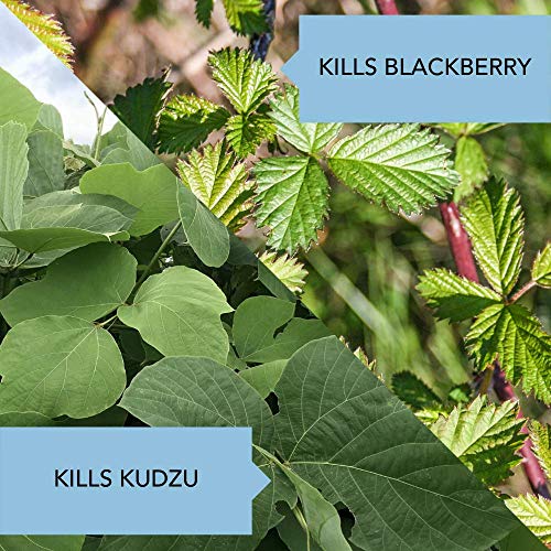 BioAdvanced Brush Killer Plus, Ready-to-Spray, 32 oz β Kills Tough Brush Roots & All, Kills Poison Ivy
