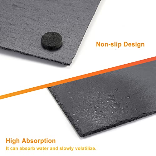 Filhome Reptile Basking Platform, Tortoise Habitat Rock Plate Slate Natural Rock Reptile Food Bowl Landscape Habitat Decor for Turtle Lizard Bearded Dragon Crested Gecko Snake(30 * 20cm)