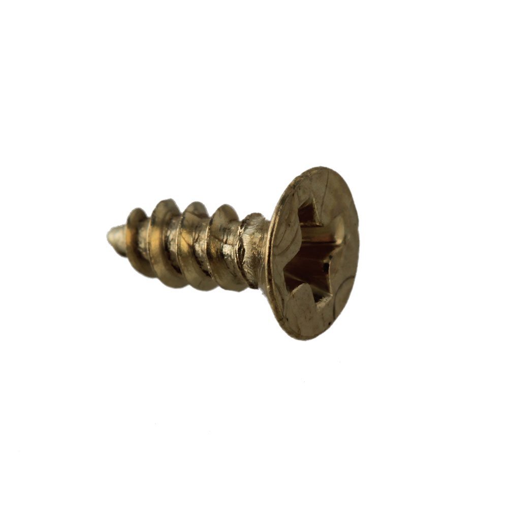 RDEXP Yellow Iron Hardware Flat Head Wood Screw Self Tapping Screws (2 x 6mm)