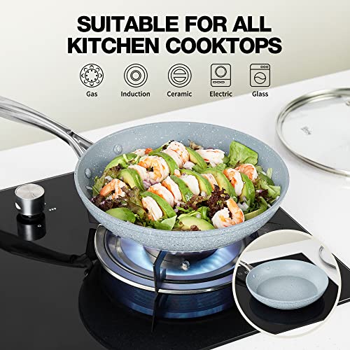 HLAFRG 8 Inch Nonstick Frying Pan with Lid,Blue Marble Die-cast Skillet, Stone-Derived Coating,APEO & PFOA Free, with Soft-touch Ergonomic Handle,Oven Safe and Induction Compatibleā¦