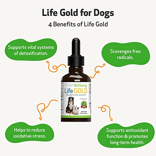 Pet Wellbeing Life Gold for Dogs - Vet-Formulated - Immune Support and Antioxidant Protection - Natural Herbal Supplement 2 oz (59 ml)