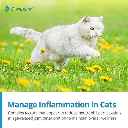 PRN Pharmacal Duralactin Feline Capsules - Cats & Kittens Joint Health and Relief Gelatin Capsules with Dried Milk Protein - 60Ct
