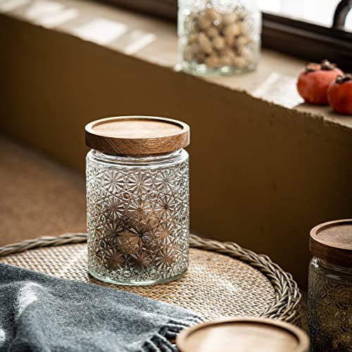 HolaJia Glass Jar with Lid β 24 oz Glass Storage Containers β Premium Jars with Airtight Lids for Coffee, Rice, Sugar β Decorative Cookie Jars for Kitchen Counter, Pantry(Stars)