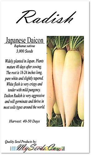 Big Pack - (3,000) Japanese Daikon - Daikon Radish Seeds - Japanese Radish - Non-GMO Seeds by MySeeds.Co (Big Pack - Daicon Radish)