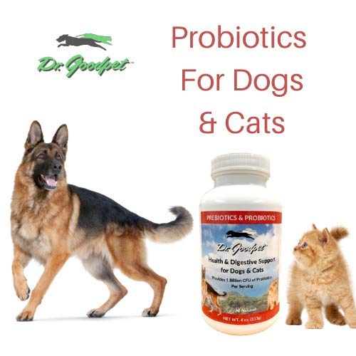 Dr. Goodpet Probiotics w/prebiotics - Billions of High-Potency CFU's - Superior Digestive Support