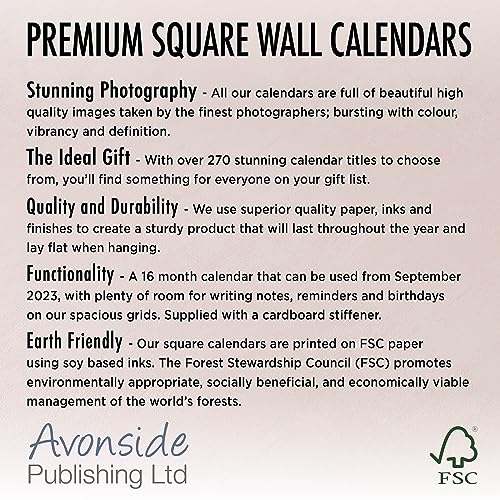 Belgian Shepherd Calendar - Dog Breed Calendars - 2023 - 2024 wall calendars - 16 Month by Avonside