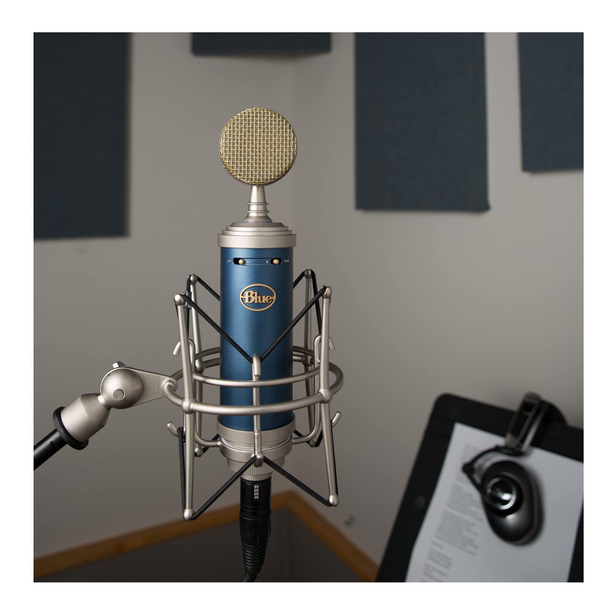 Blue Microphones Bluebird Large Diaphragm Studio Condenser Microphone Bundle with Microphone Stand, Microphone Cable, Pop Filter (4 Items)