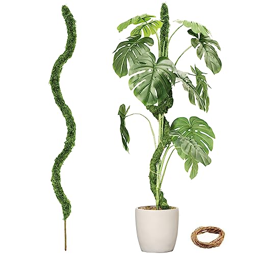 RSSCIIIUL 63 Inch Bendable Real Moss Pole for Monstera, Handmade Slim Stakes Plant Support for Extra Large Potted Indoor Plants Climbing & Growing Upwards