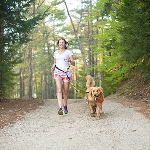 Kurgo 6 in 1 Hands Free Dog Leash , Reflective Running Belt Leash for Dogs, Crossbody & Waist Belt Leash, Carabiner clip, Padded Handle, For Training, Hiking, or Jogging, Quantum Leash, Coastal Blue, Large