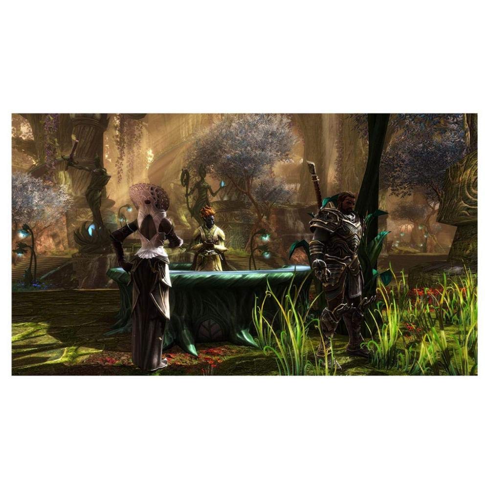 Kingdoms of Amalur Re-Reckoning - PlayStation 4