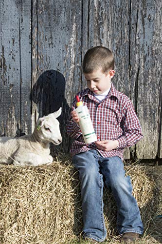IDEAL 7004 Lamb & Kid Bottle 16oz w/Red Screw-On Teat
