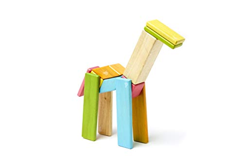 Tegu 14 Piece Magnetic Wooden Block Set in Tints