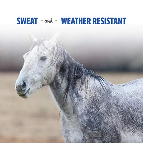 Manna Pro Opti-Force Fly Spray | Sweat Resistant for Horses and Ponies | Provides Repellency and Quick Knockdown from Biting and Nuisance Flies | 1 Gallon