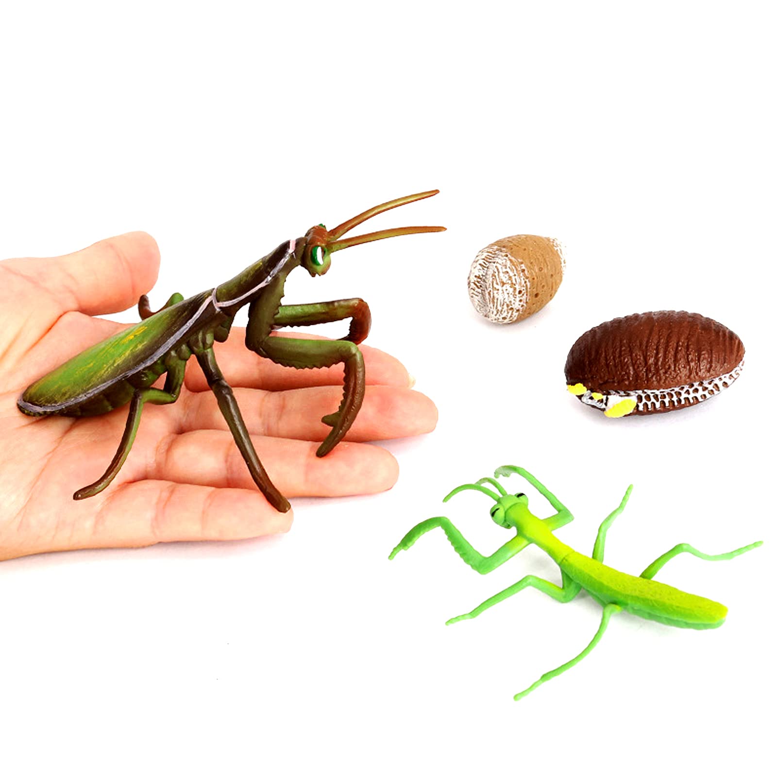 Odowalker 24PCS Life Cycle Figures,Insect Figurines Life Cycle of Monarch Butterfly,Honey Bee,Ladybug,Praying Mantis,Dragonfly,Grasshopper Safariology Bug Figures Kits Educational School Project