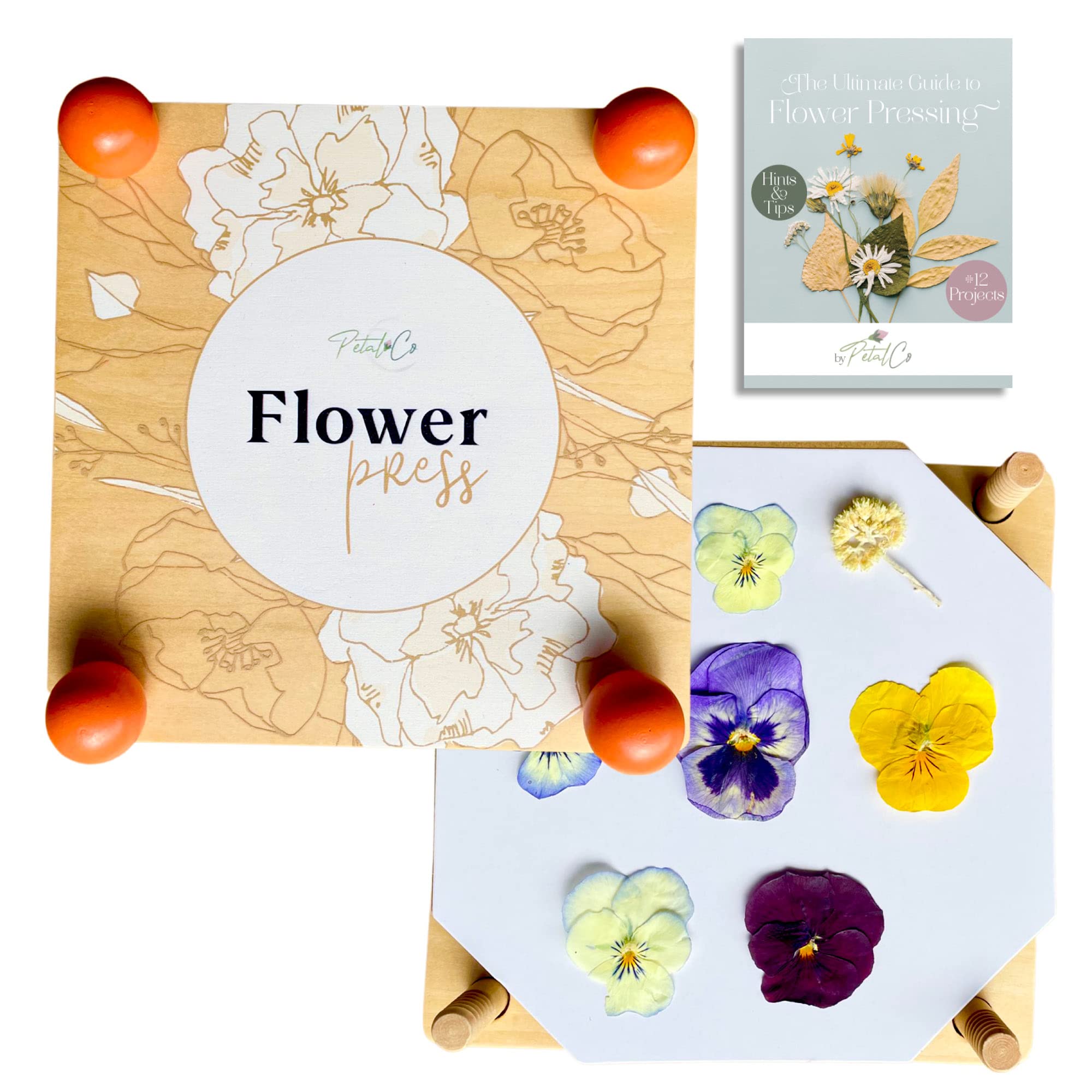 Petal Co Kid's Flower Press Kit & Leaf Press | Free EBook on Flower Pressing | Wooden Art Kit | Pressed Flower Art Kit | Gift for Kids | Flower Pressing Kit for Adults Too. Plant Press Kit.