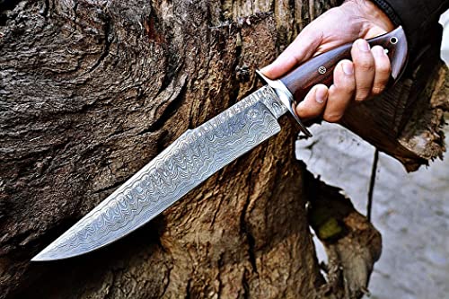 BIGCAT ROAR Handmade Damascus Hunting Knife - Bushcraft Fixed Blade Hunting Knife with Sheath and Walnut Wood Handle - 15″ EDC Skinning Knife - Screaming Eagle