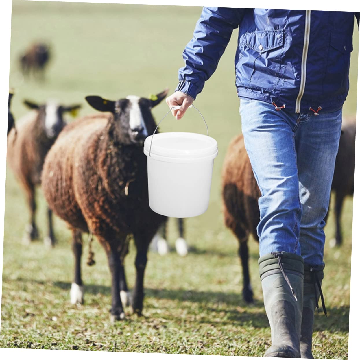 Buckets 2pcs Water L Home White Industrial Portable Container Purpose Bucket Paint Lid Pail for All with Plastic Use Outdoor Handle and Containers with Lids