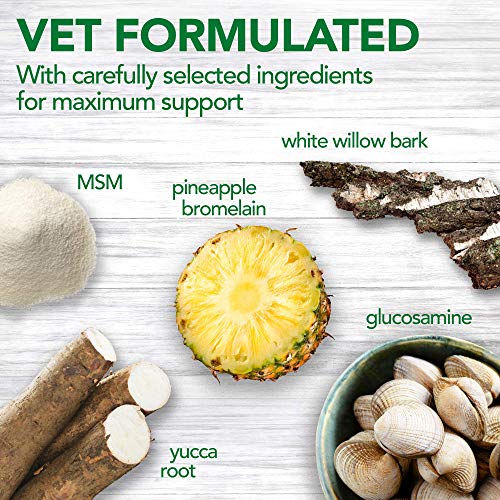 Vet's Best Aspirin Free Aches + Pains Dog Supplement | Vet Formulated for Dog Pain Support and Joint Relief (100 ct (2 Pack))
