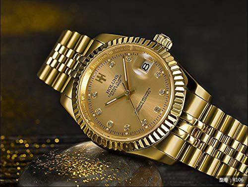 HOLUNS Mens Full Gold Watch Automatic Mechanical Gilded Steel Self-Wind Sapphire Glass Dress Waterproof Watch (Gold)