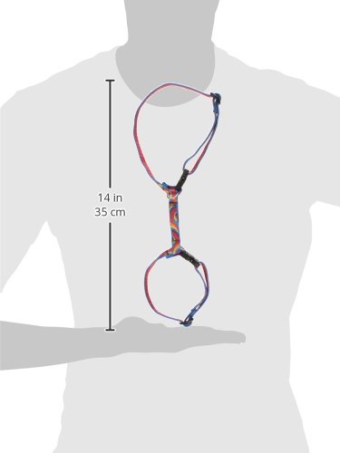 LupinePet Originals 1/2" Lollipop 12-20" H-style Harness for Small Pets