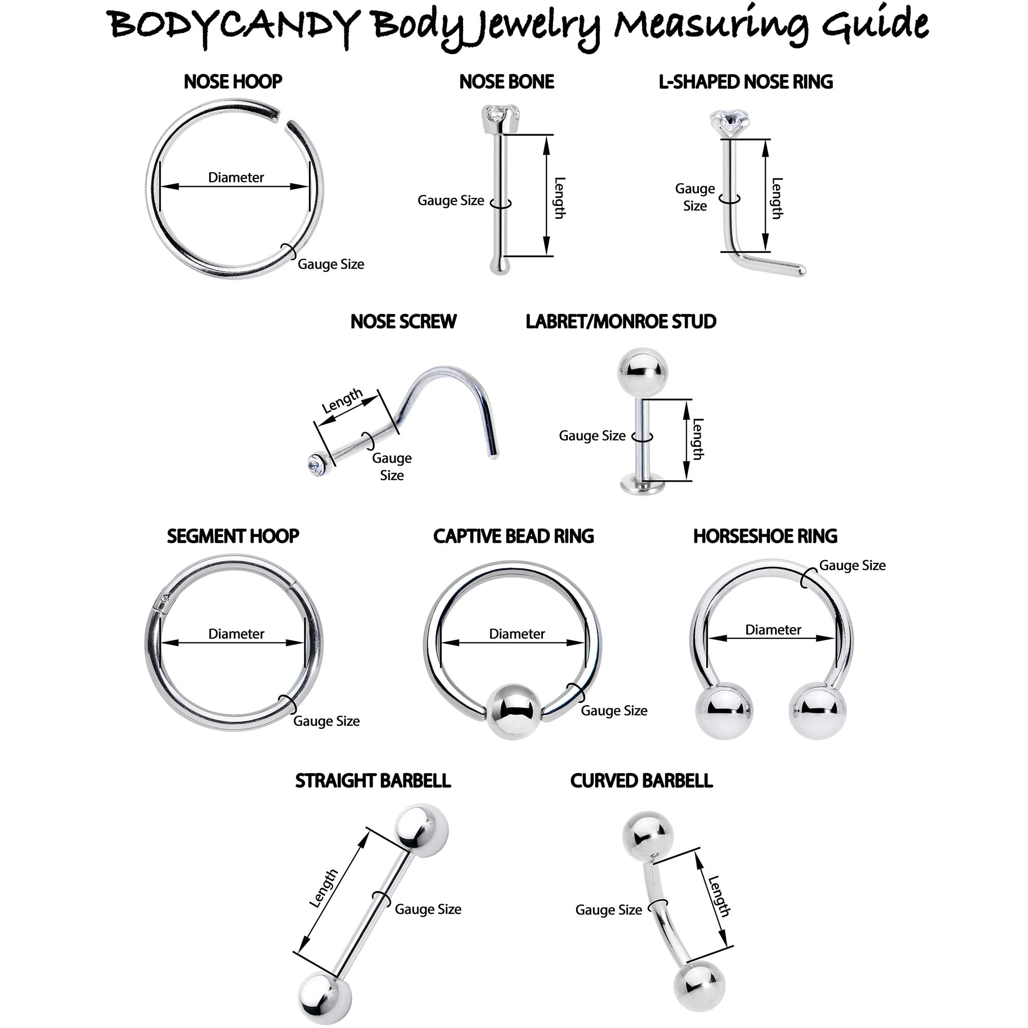 Body Candy Womens 20G PVD 316L Stainless Steel Nose Ring Beauty Bee Nose Hoop Ring Circular Nose Ring 5/16β