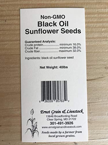 Homestead Harvest Ernst Grain Black Oil Sunflowers, Non-GMO (40 lb)