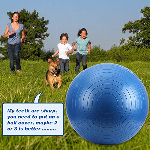 Horse Balls for Play, 30 Inch Mega Ball Toys for Horses to Play with Cover, Extra Large Training Soccer