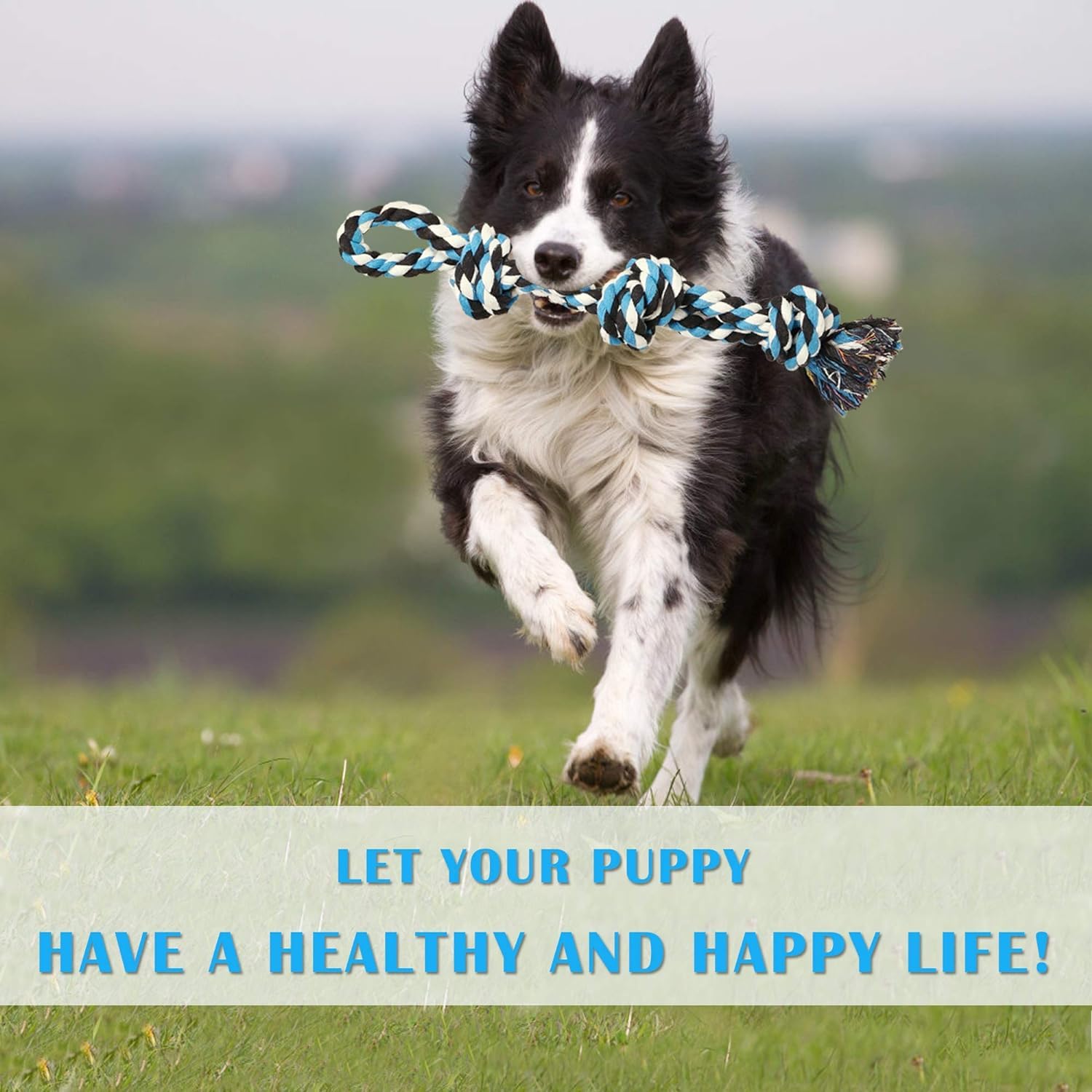 Echo Pets Dog Chew Toys Rope Toys (Blue)-Rope Toy, Benefits Non-Profit Dog Rescue, Large Dog Toys, Durable Dog Toys for Aggressive Chewers, Nearly Indestructible Dog Toys for Aggressive Chewers