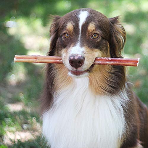 EcoKind Pet Treats All-Natural Premium 4 Inch Bully Sticks for Dogs | 16 Oz. Bag | Delicious Protein Rich Dog Chews