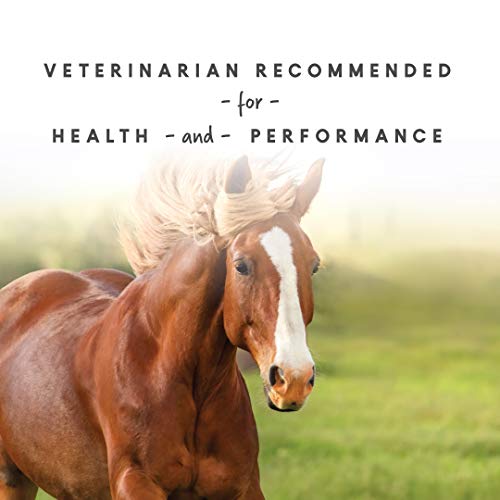 Manna Pro Sho-Glo Supplement for Horses | Complete Vitamin & Mineral Supplement for Healthy Skin & Coat | 5 Pounds