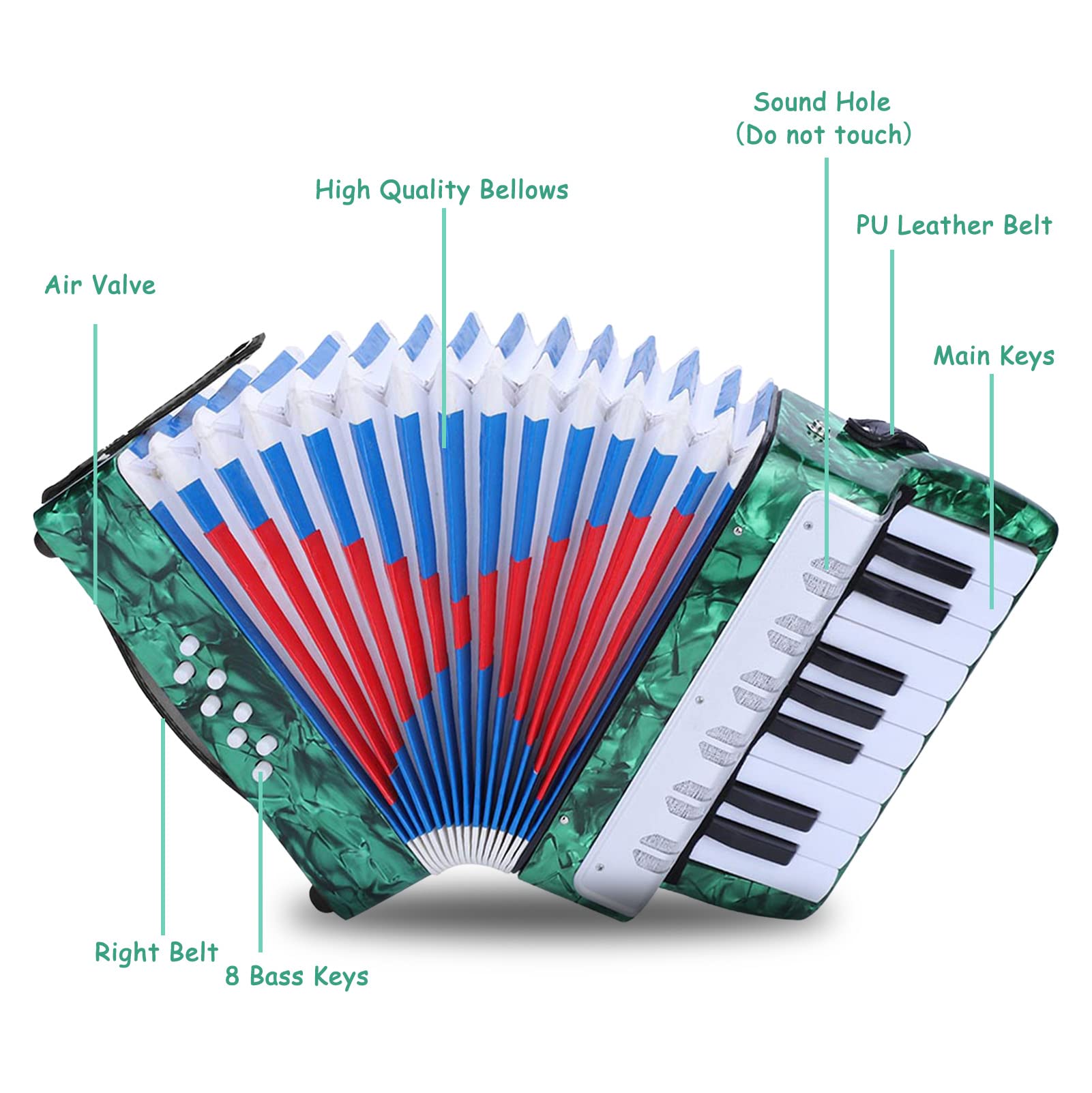 Beginner Accordion, 17 Key 8 Bass Entry Level Accordion with Adjustable Shoulder Strap Piano Accordion Instruments for Beginners Mother's Day Gift (Green)