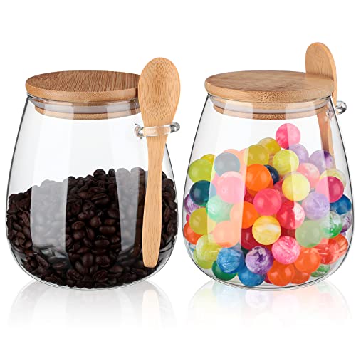 Hoolerry Set of 2 Airtight Glass Jars with Bamboo Lids and Spoons 34 oz Borosilicate Glass Canisters Overnight Oats Jar Storage Container for Kitchen Coffee Bean Tea Leaves Flour Sugar