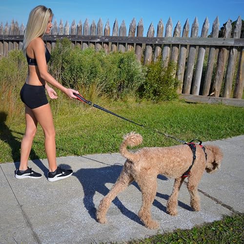 Black Rhino β Dog Leash Adjustable Length (3-5 Feet) with Soft Neoprene Padded Handle | Heavy Duty Lead for Easy Control | Small Medium Large Breeds | Reflective Stitching (Red/Black)
