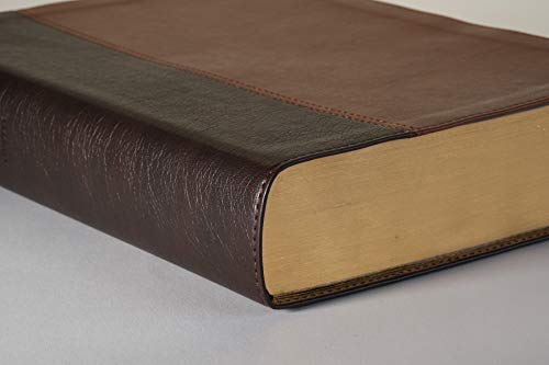Every Man's Bible: New Living Translation, Large Print, TuTone (LeatherLike, Brown/Tan) β Study Bible for Men with Study Notes, Book Introductions, and 44 Charts