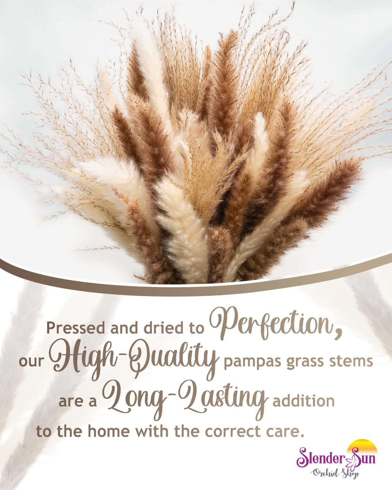 Spear SLENDERSUN Orchid Bouquet Dried Pampas Grass – Pack of 60 Pcs Tall Stems (17,7”) Soft & Fluffy Floral Bouquets Minimalist, Rustic, Luxury Home Garden Décor, White, Brown, Reed