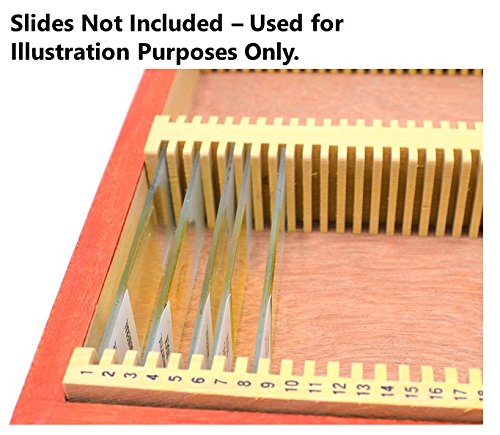 Eisco Labs BI0001C - Wooden Microscope Slide Box, Holds 100-25x75mm Slides