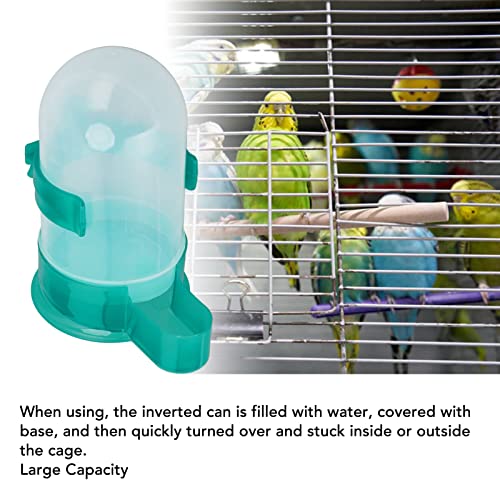 GLOGLOW Pigeon Water Feeder, Automatic Bird Pigeon Food Feeder Water Dispenser for Sparrow Parrorts Budgie Cockatiel Lovebirds