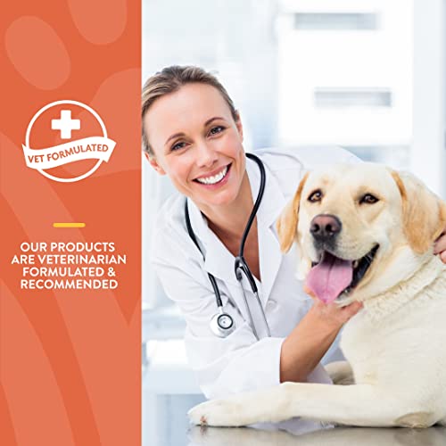 NaturVet β Potty Here Training Aid Spray | Attractive Scent Helps Train Puppies & Dogs Where to Potty | Formulated for Indoor & Outdoor Use | 8 oz