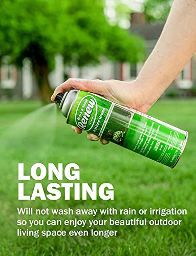 Seymour 20-602 Grass and Shrub Renew Spray Paint, Pristine Green (17 oz.)