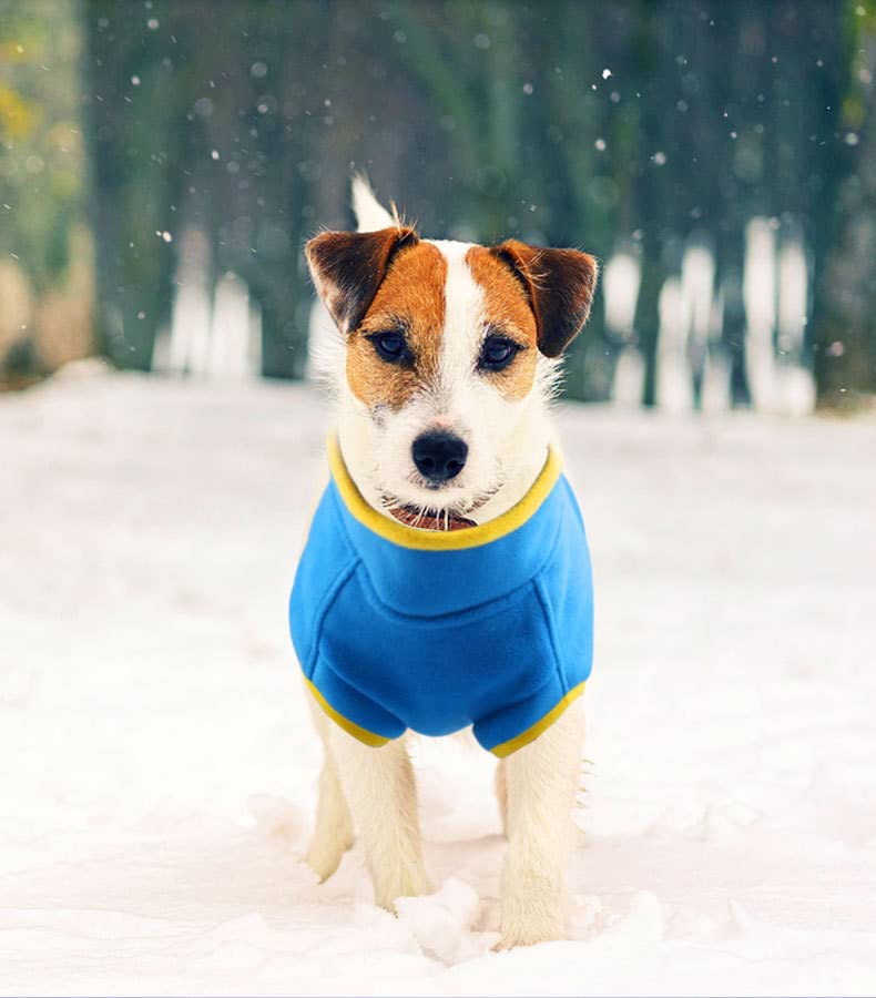 HGMOMO Dog Fleece Vest Warm Winter Upgraded Pet Clothes for Puppy Windproof Sweater Pullover Coat with D-Ring Leash Chihuahua Jackets Pug Costumes for Small Medium Cats Dogs (Small, Royal Blue)
