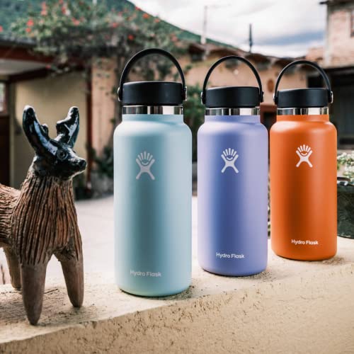 Hydro Flask 20 oz Wide Mouth with Flex Cap Stainless Steel Reusable Water Bottle Lupine - Vacuum Insulated, Dishwasher Safe, BPA-Free, Non-Toxic