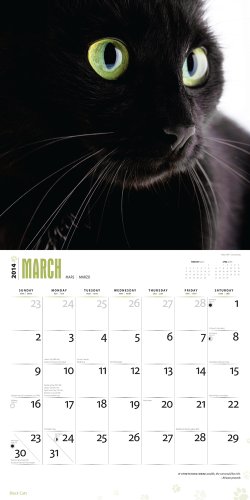 Black Cats 2014 Calendar 18-Month
