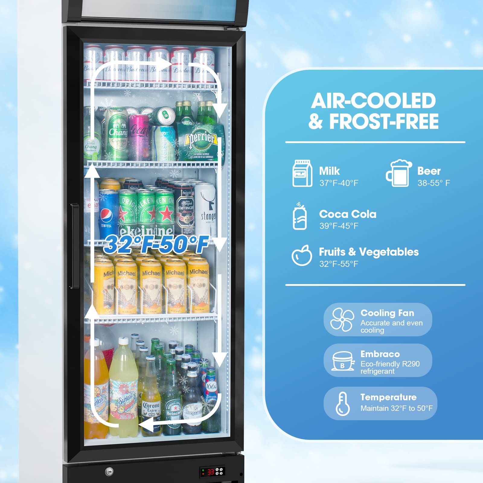 COTLIN Glass Door Merchandiser Refrigerator with LED Lighting, 12.5 cu.ft Commercial Beverage Cooler, Dual-Layer Glass Extra Adjustable Shelves and Drink Organizers, ETL NSF Approved