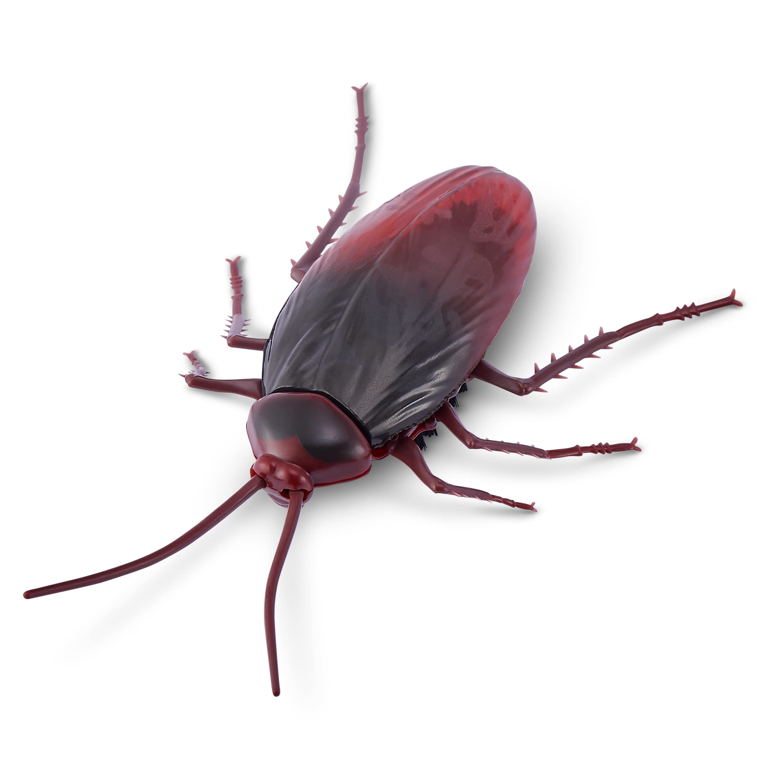 Robo Alive Crawling Cockroach Glow in The Dark (2 Pack) by ZURU Battery-Powered Robotic Interactive Electronic Cockroach Toy That Moves and Crawls, Prankst Toys for Boys, Kids, Teens
